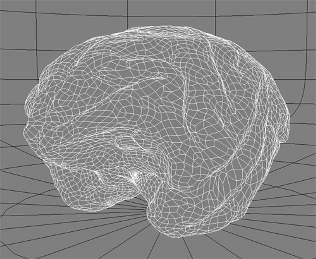 Monkey Brain 3d Obj