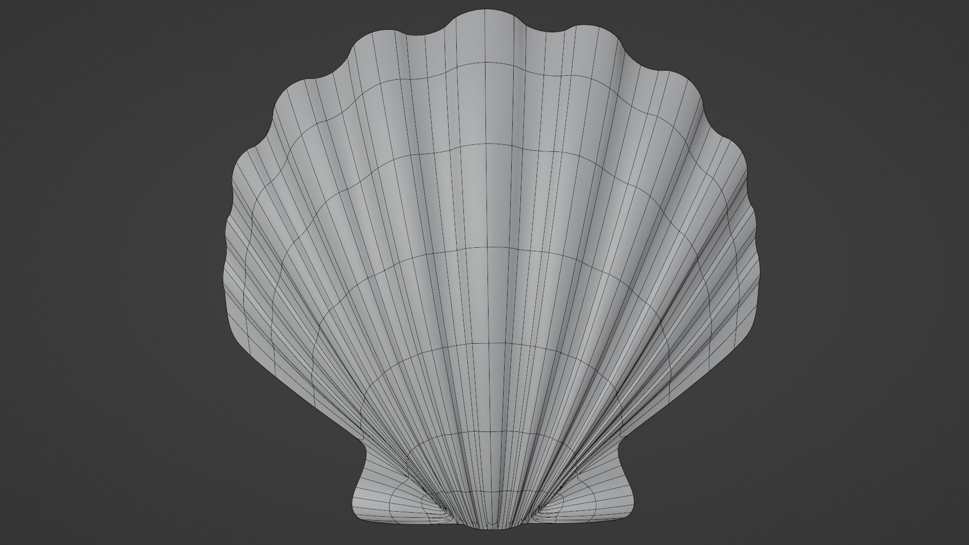 3D Seashell Model - TurboSquid 2235647