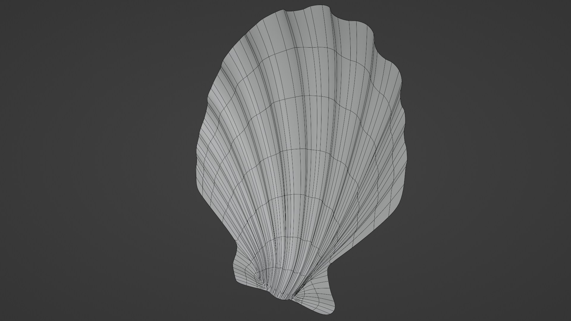 3D Seashell Model - TurboSquid 2235647