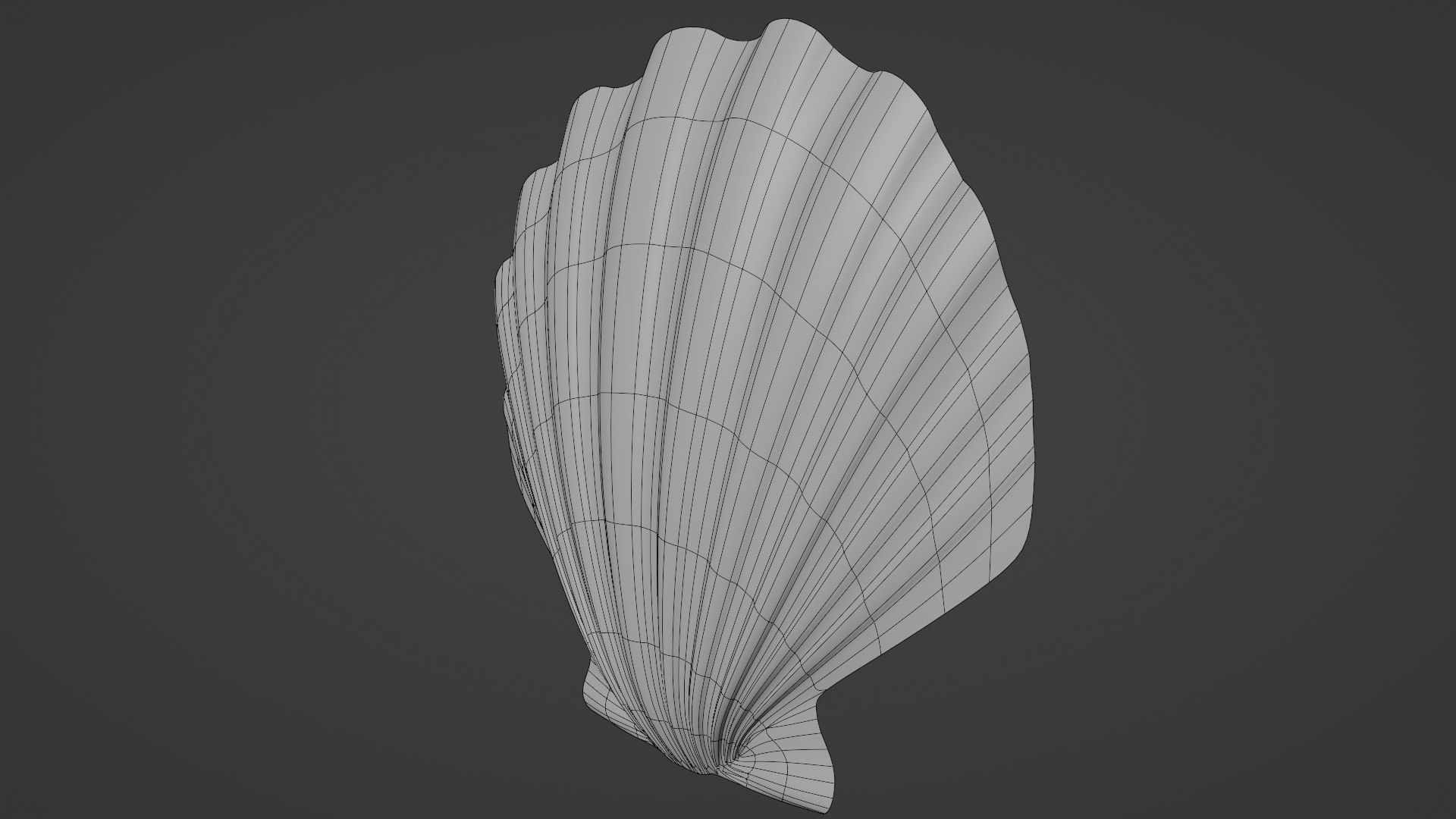 3D Seashell Model - TurboSquid 2235647