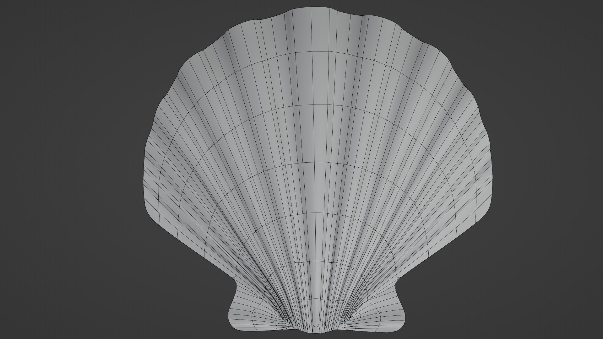 3D Seashell Model - TurboSquid 2235647