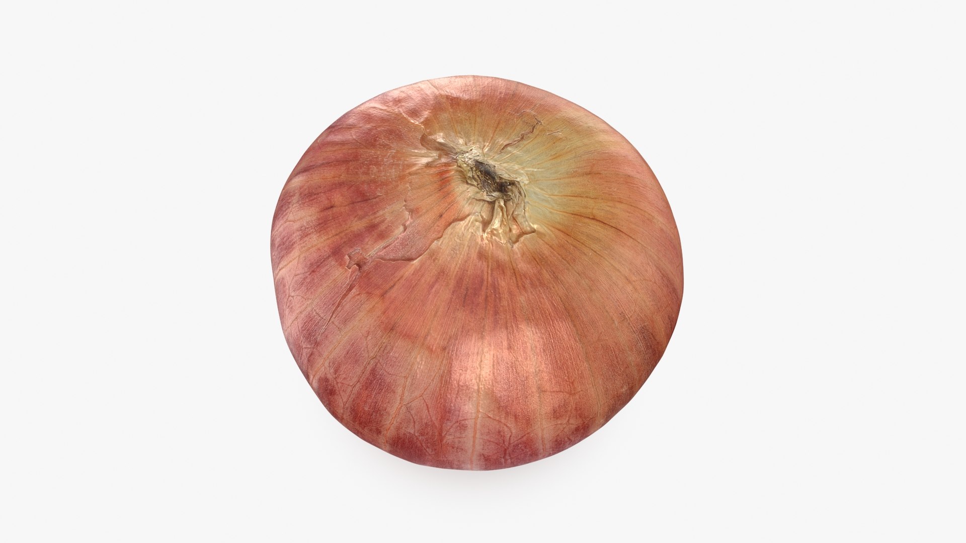 Shallot 03 3D Model - TurboSquid 2208794