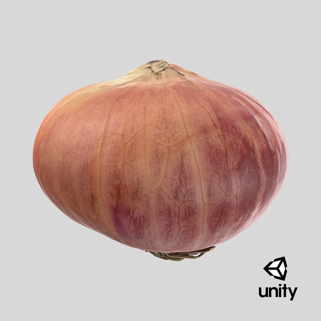 Shallot 03 3D Model - TurboSquid 2208794
