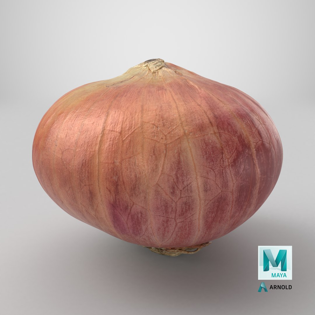 Shallot 03 3D Model - TurboSquid 2208794