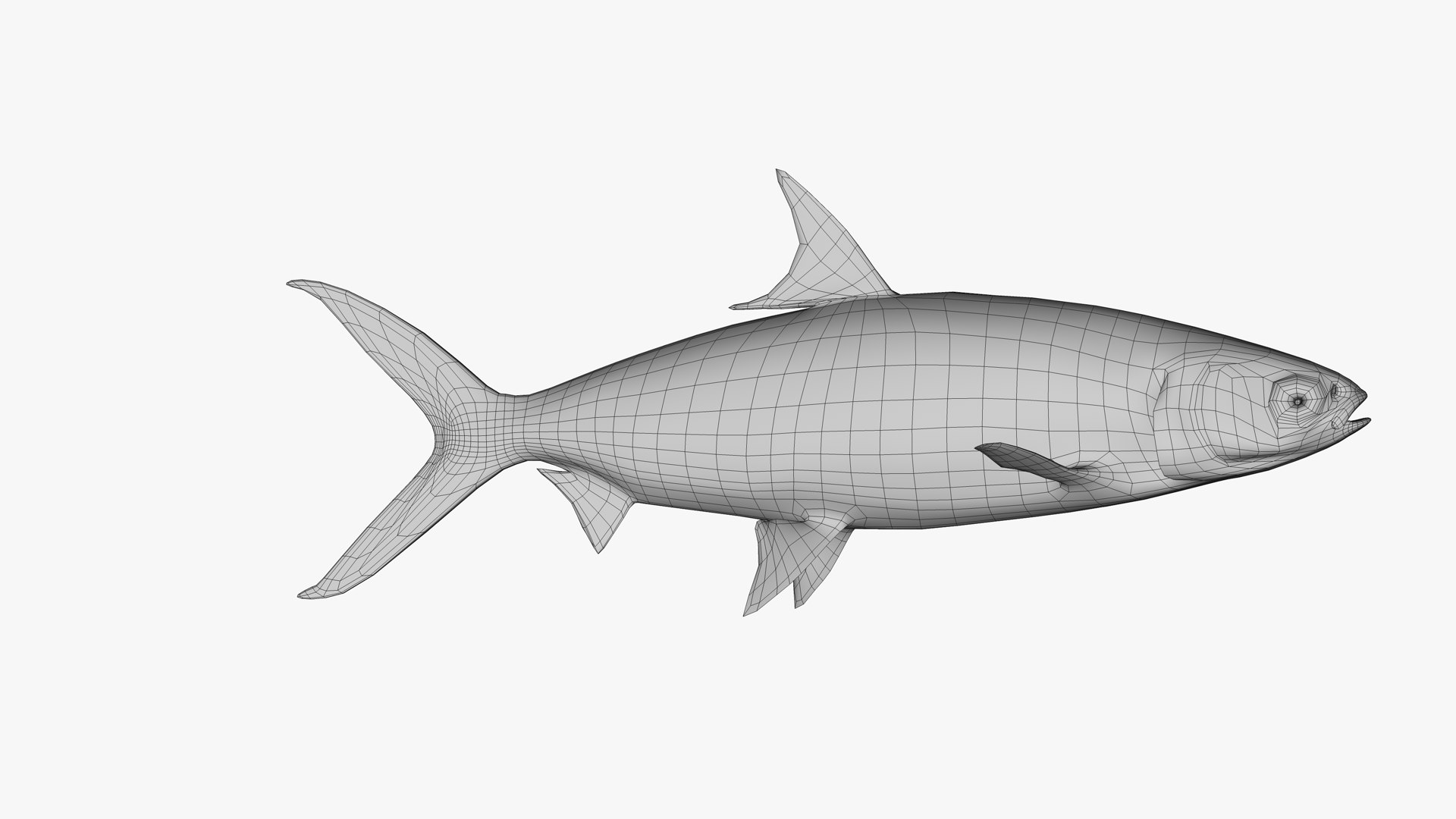 3D Realistic Milkfish - TurboSquid 1579783