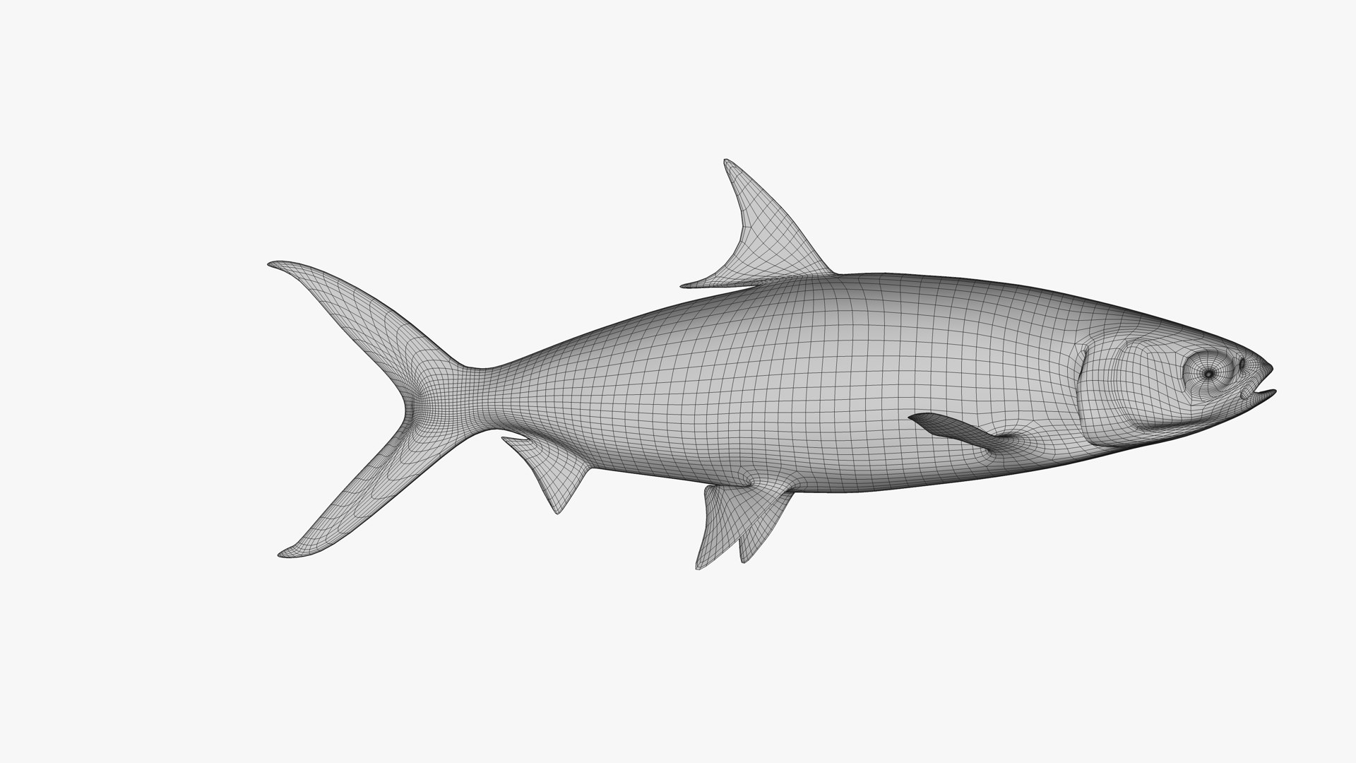 how to draw a milkfish