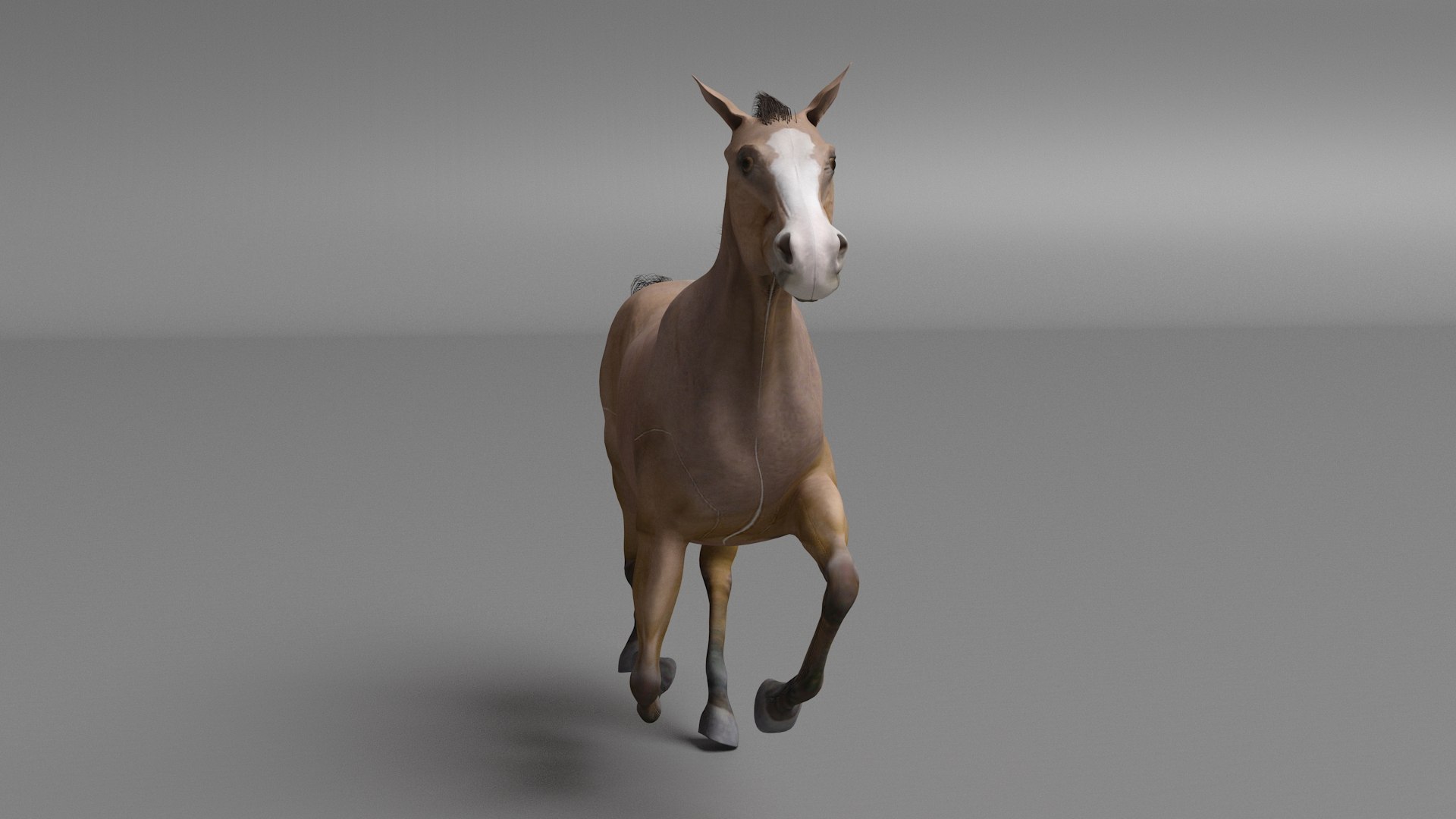 3D Realistic Running Horse Model - TurboSquid 2318720