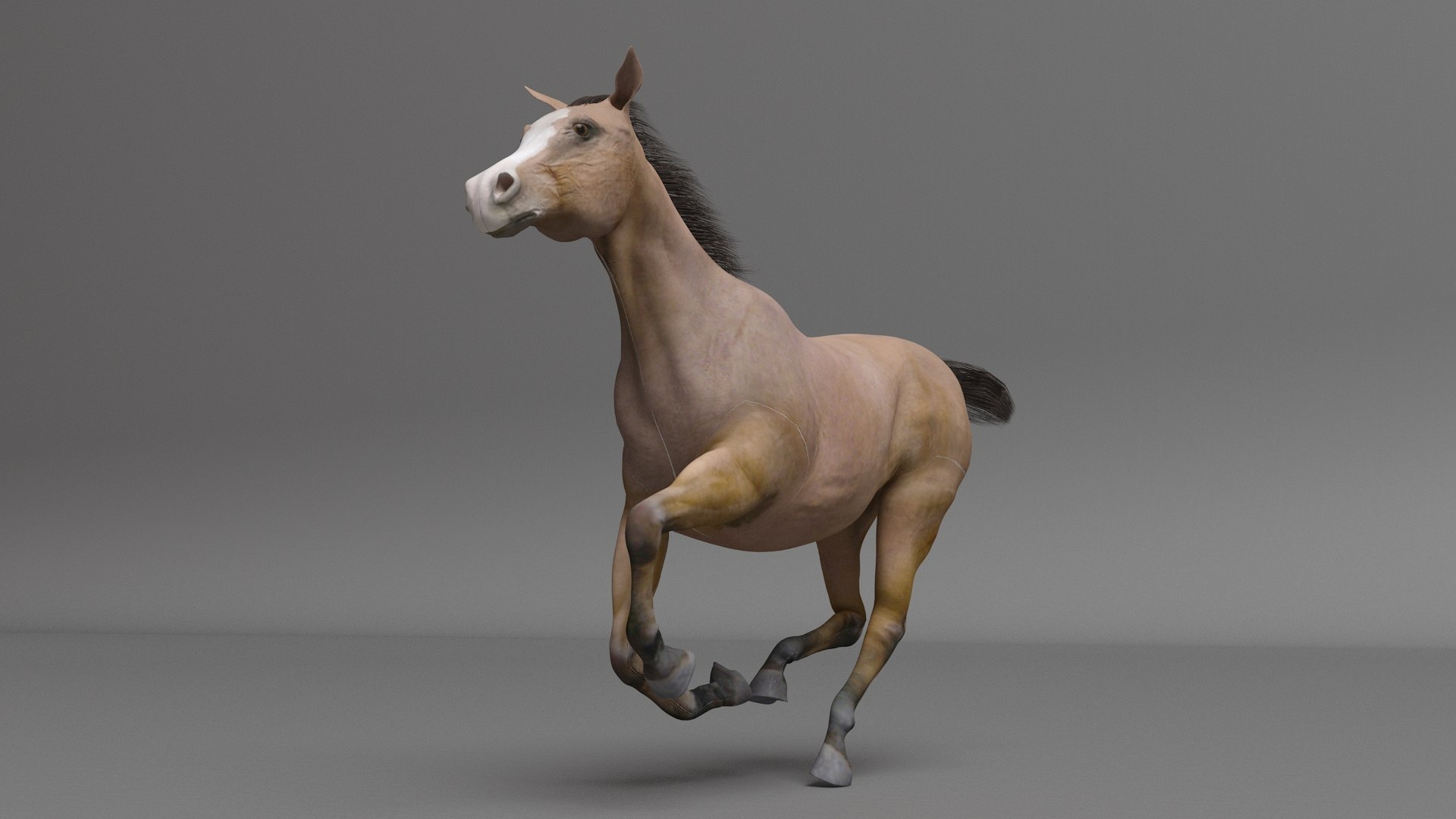 3D Realistic Running Horse Model - TurboSquid 2318720