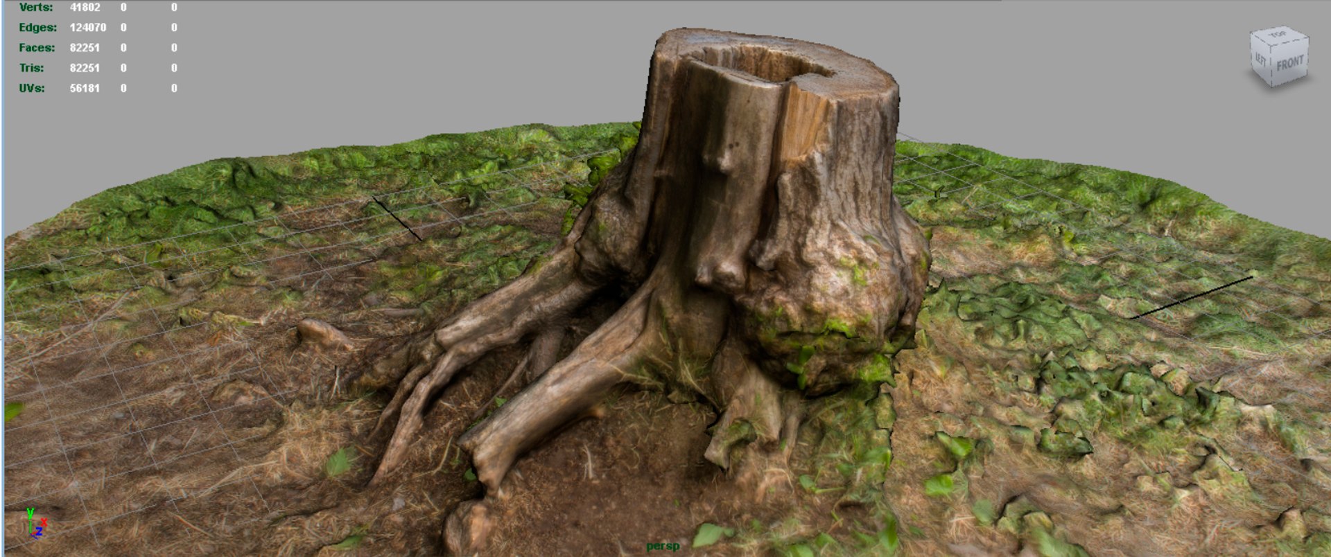 3D Realistic Tree Stump - TurboSquid 1164203