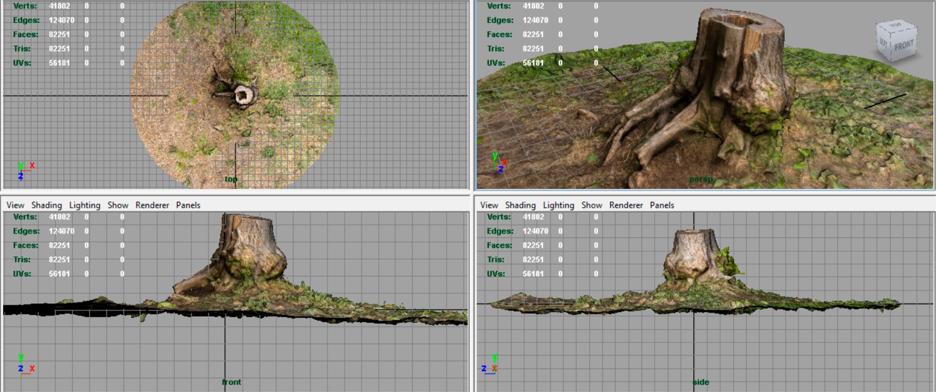 3D Realistic Tree Stump - TurboSquid 1164203