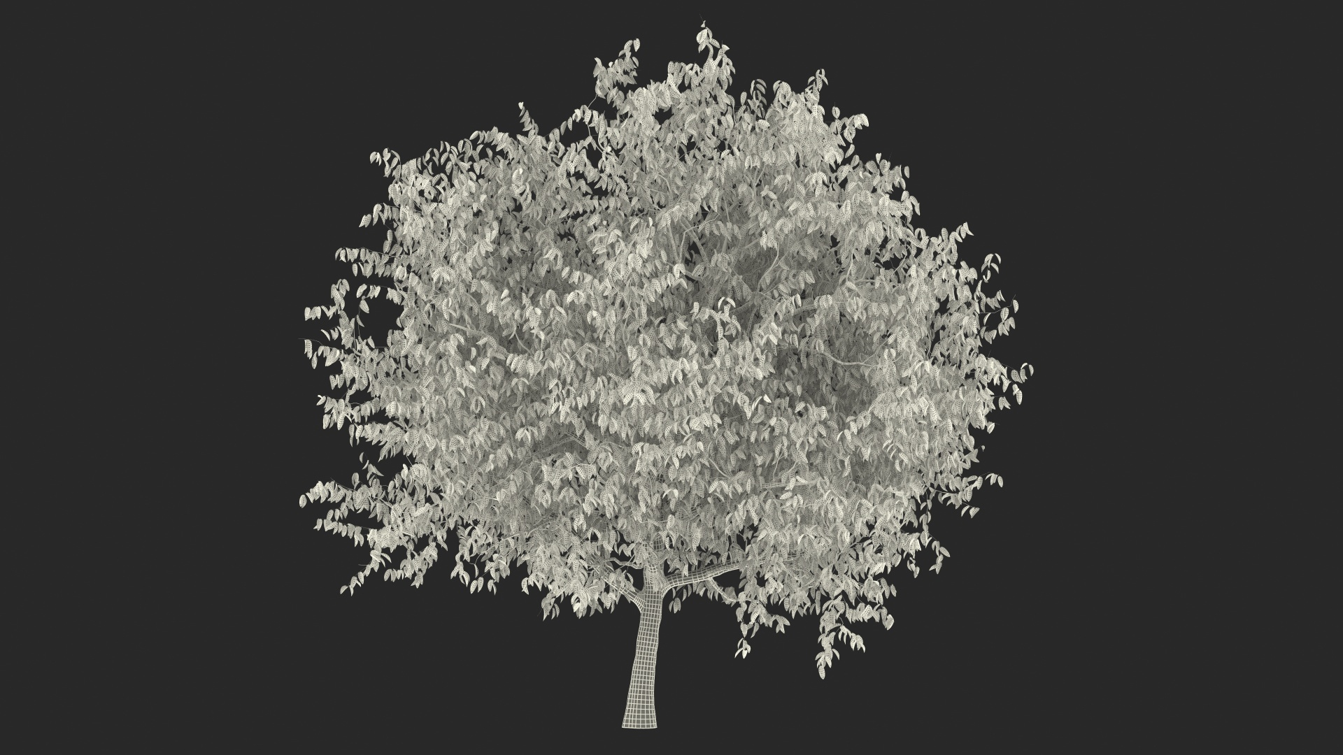 Autumn Cherry Tree Model - TurboSquid 1434135