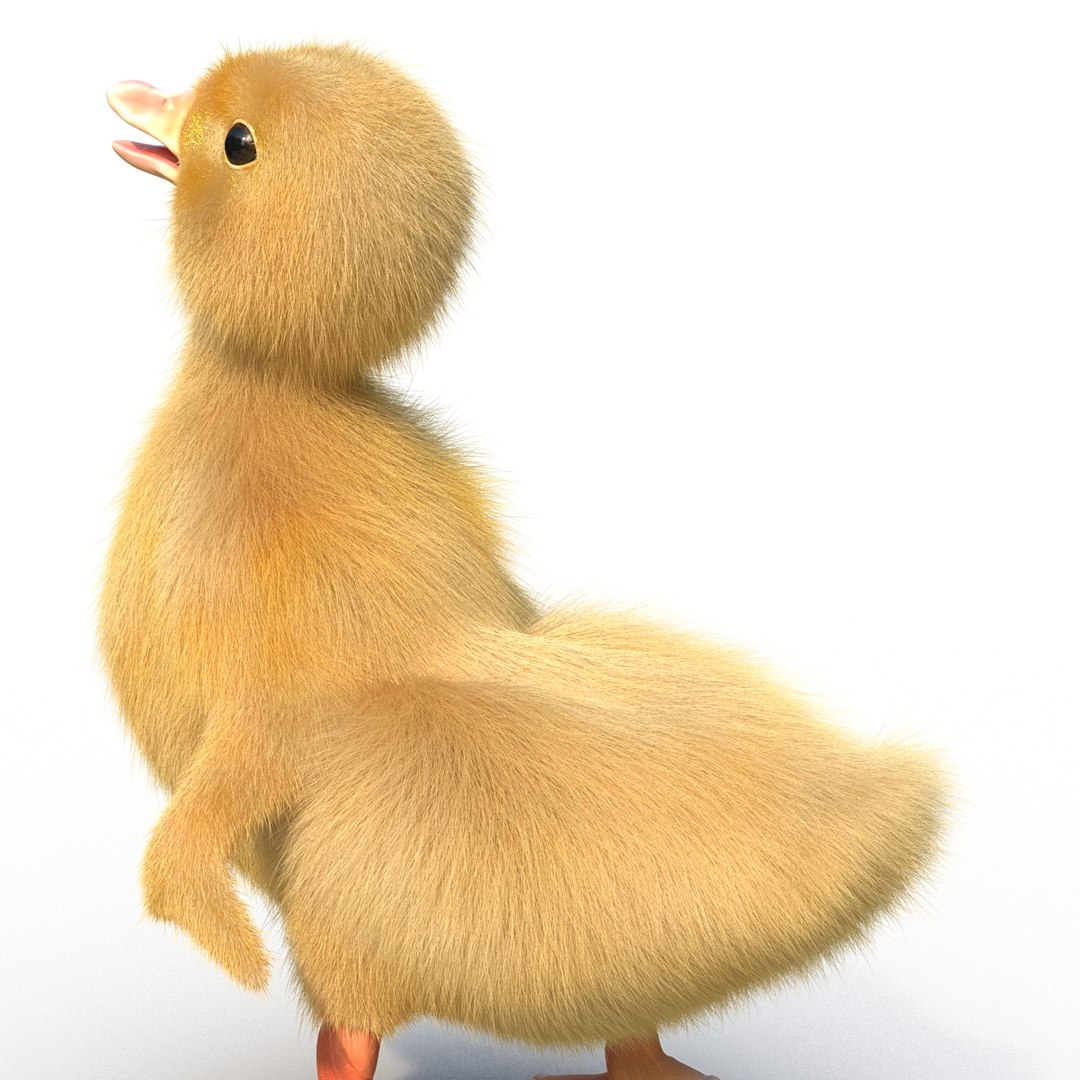 Duckling Pose 4 Max