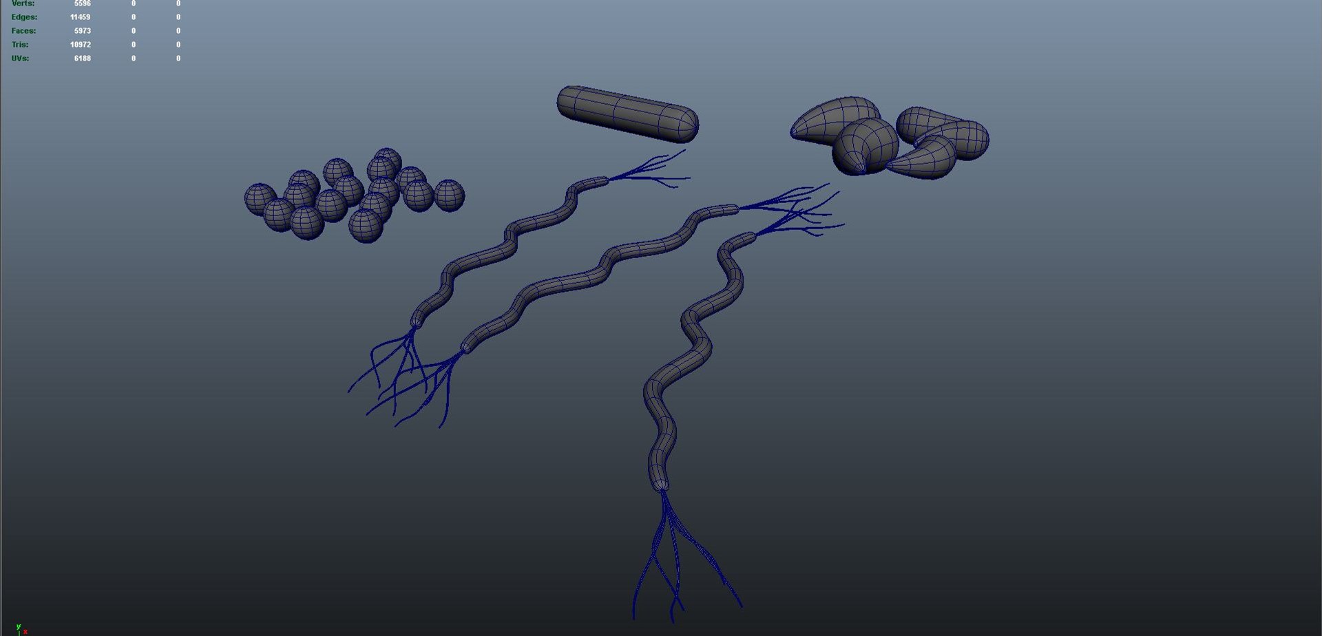 Bacteria 3d Model