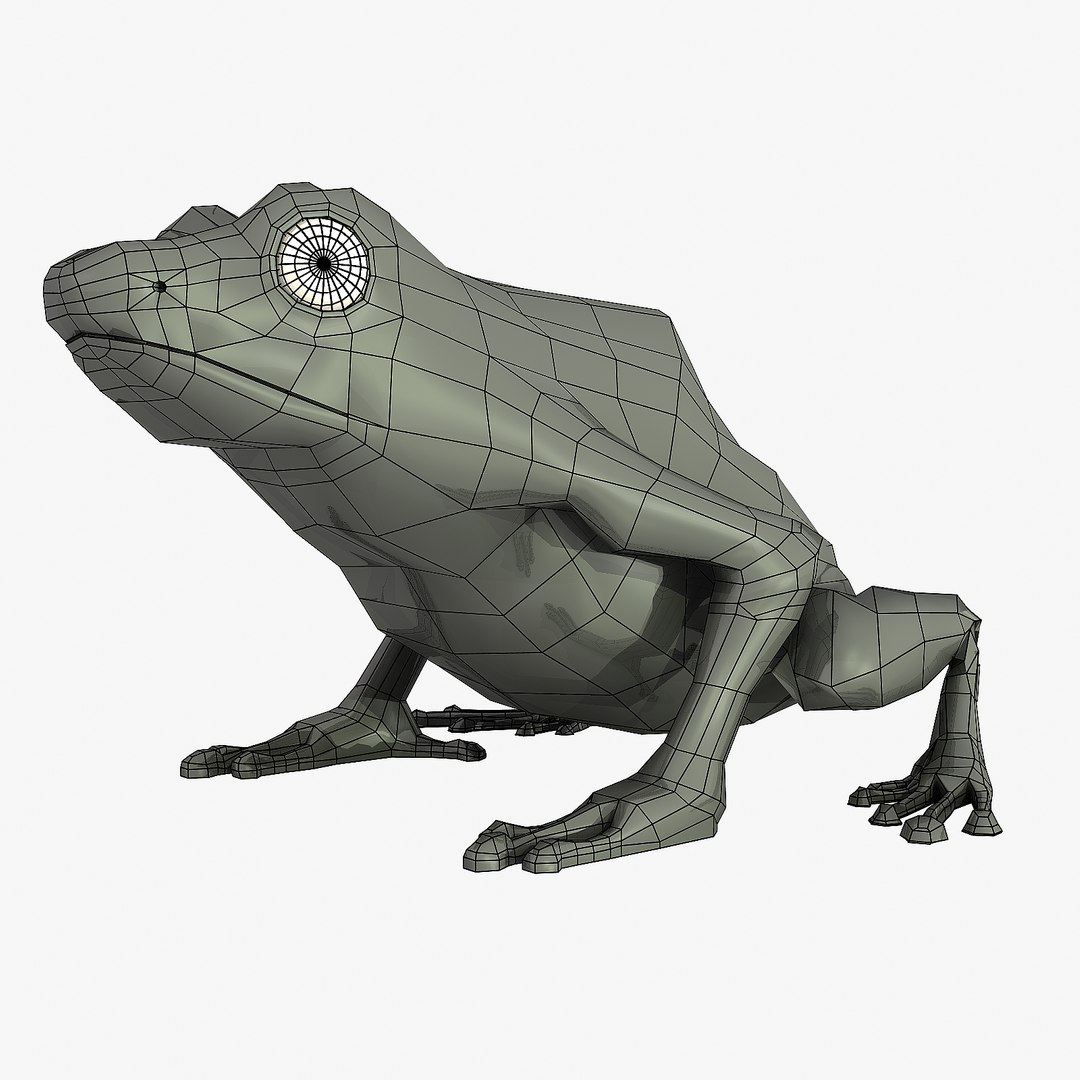 Blue Poison Dart Frog Lwo
