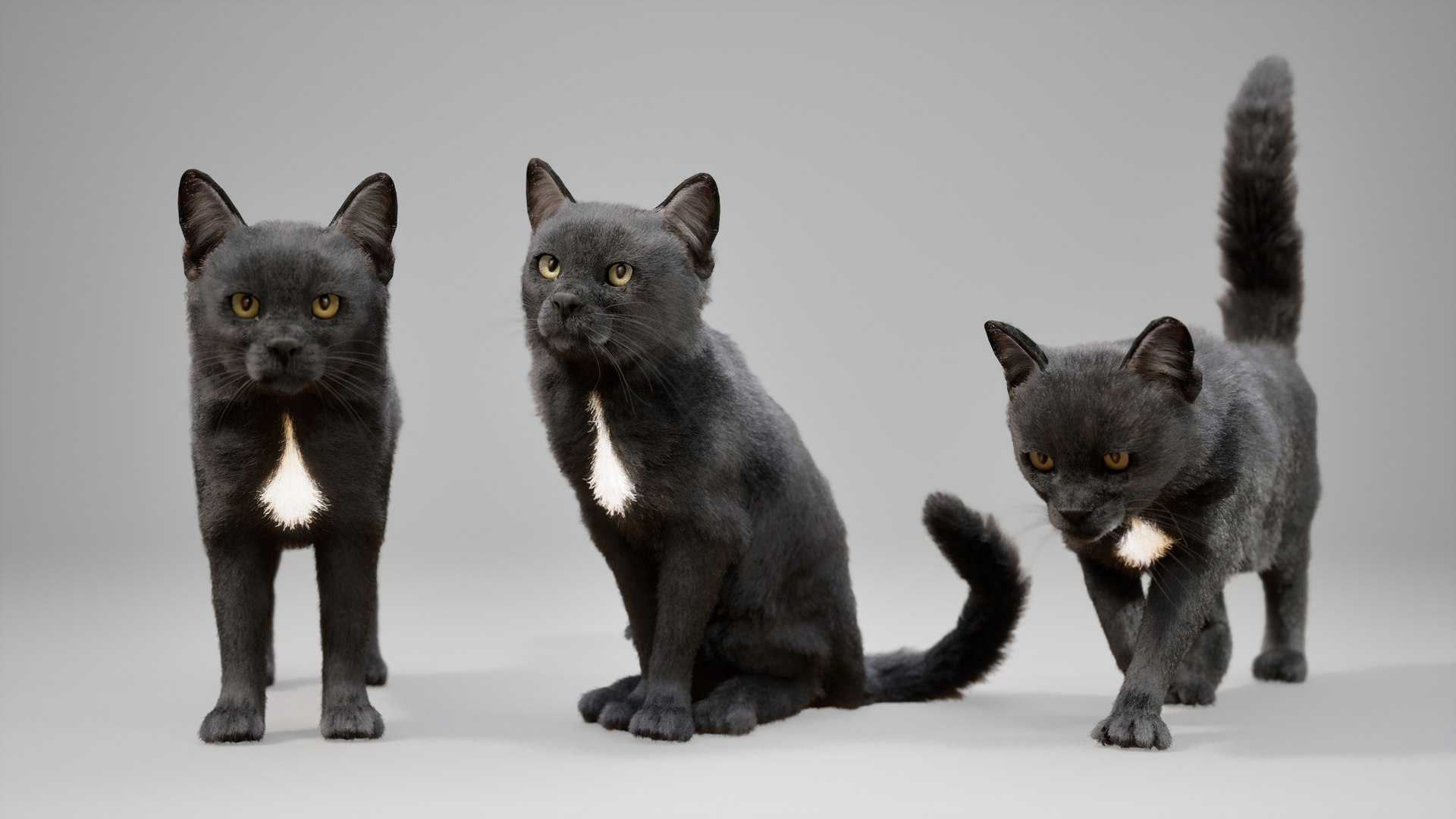 Cats Animated UNREAL Project Plus Maya Base Rig 3D Model - TurboSquid ...