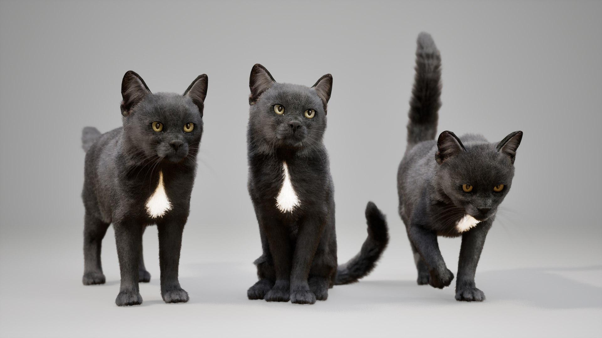 Cats Animated UNREAL Project Plus Maya Base Rig 3D Model - TurboSquid ...