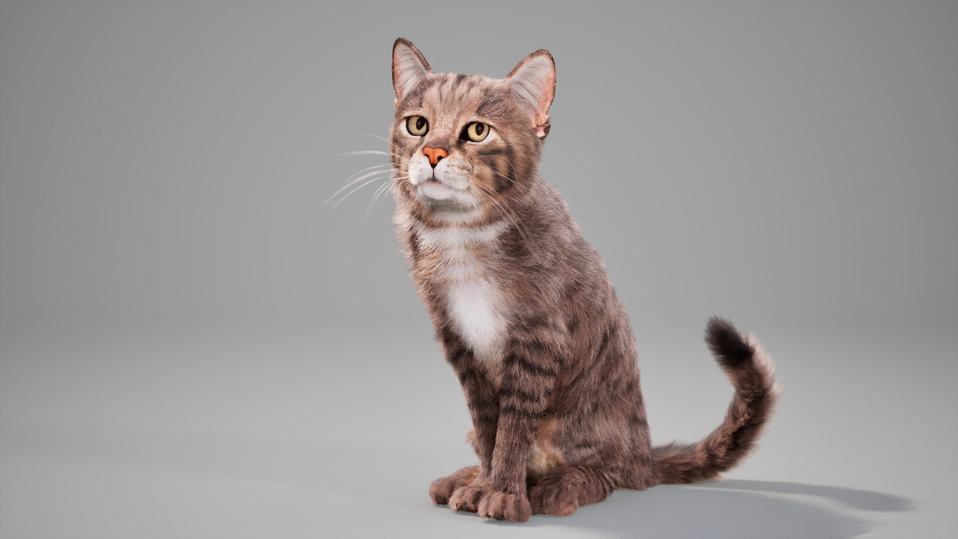 Cats Animated UNREAL Project Plus Maya Base Rig 3D Model - TurboSquid 2342578