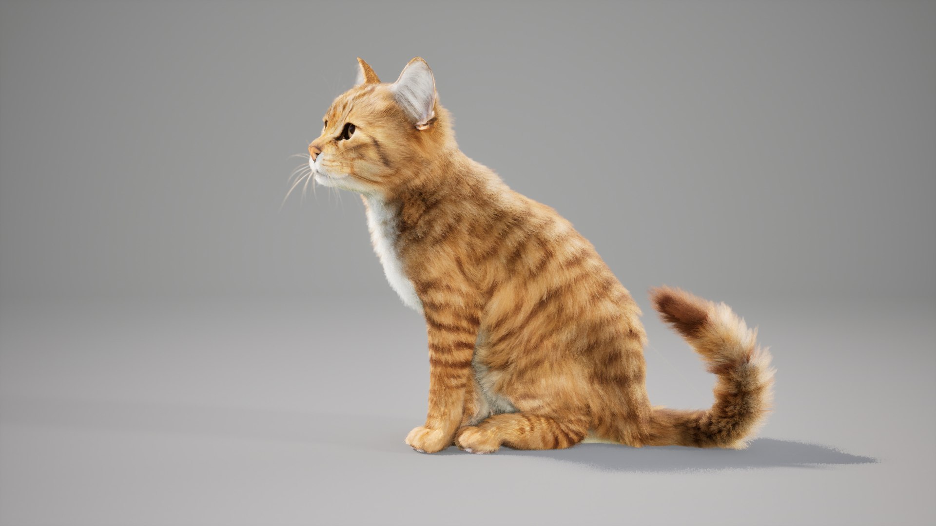 Cats Animated UNREAL Project Plus Maya Base Rig 3D Model - TurboSquid ...