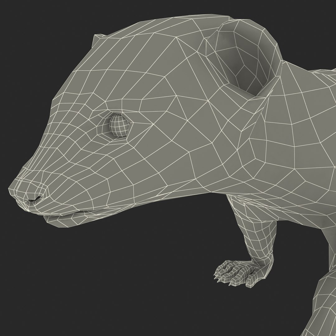 3dsmax Weasel Pose 1 Fur