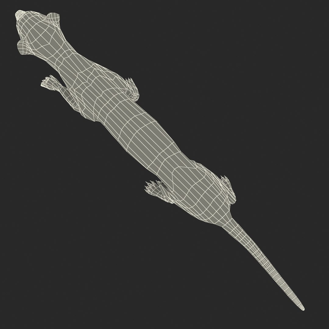 3dsmax Weasel Pose 1 Fur