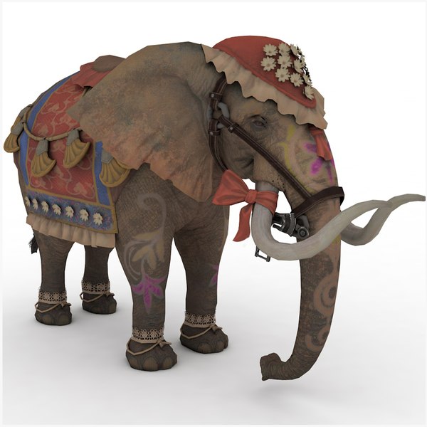 modelo 3d Elefante real aparejado - TurboSquid 2391226