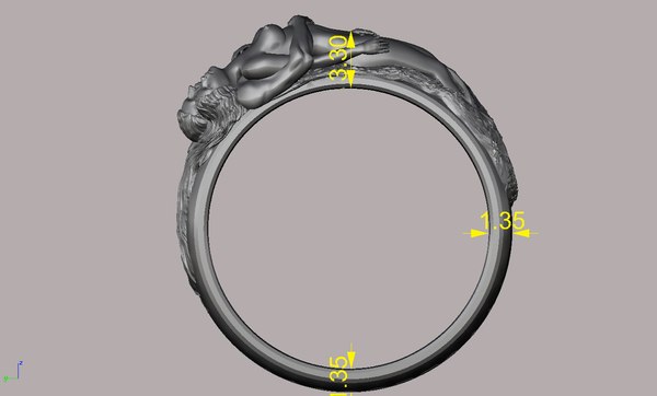 3d print ring