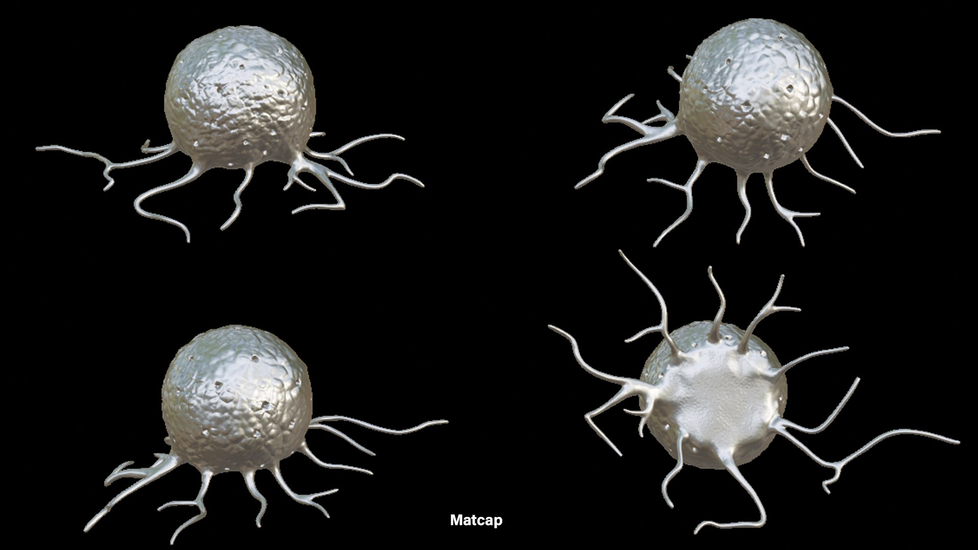 3D Cancer Cell Model - TurboSquid 2000146