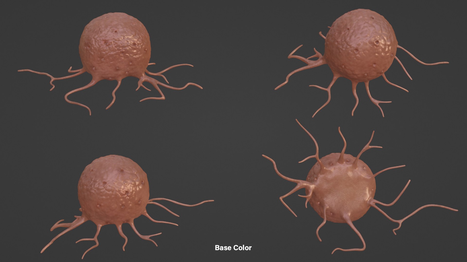 3D Cancer Cell Model - TurboSquid 2000146