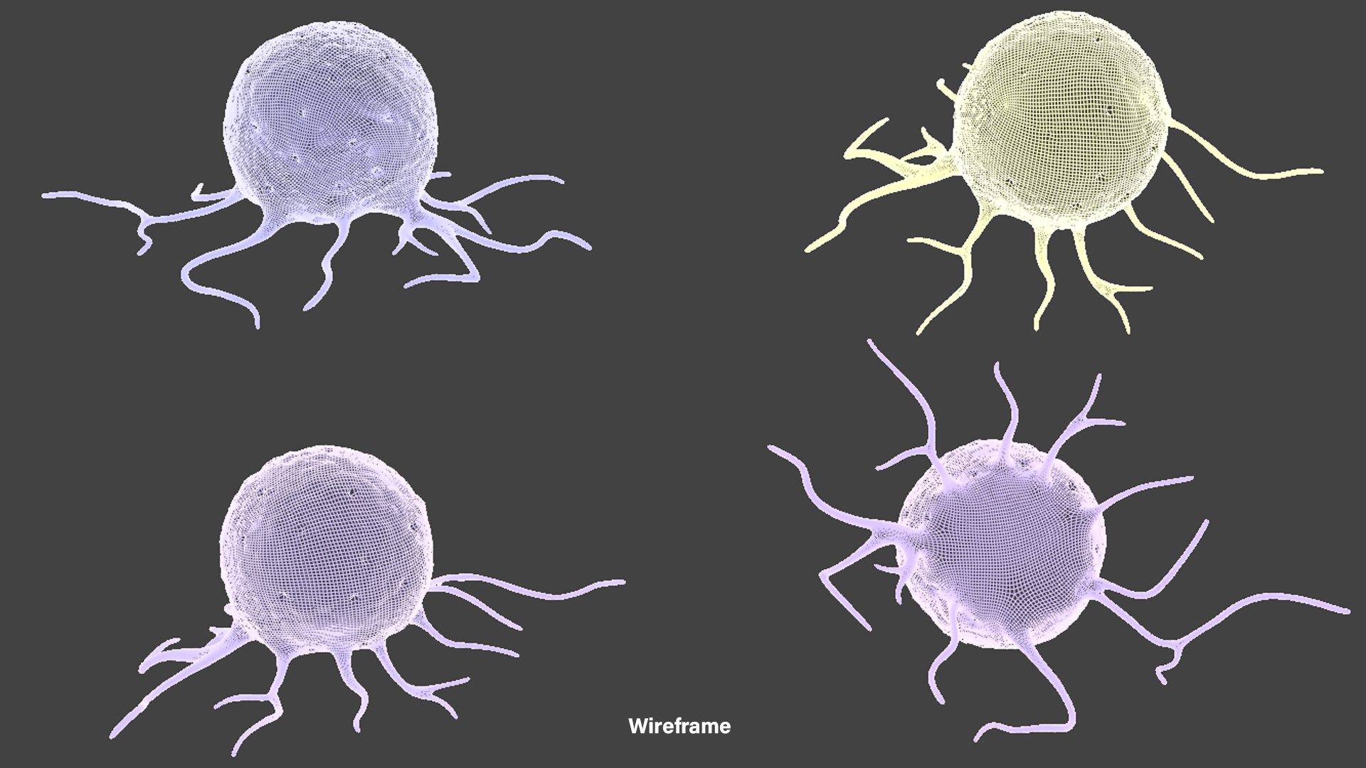 3D Cancer Cell Model - TurboSquid 2000146