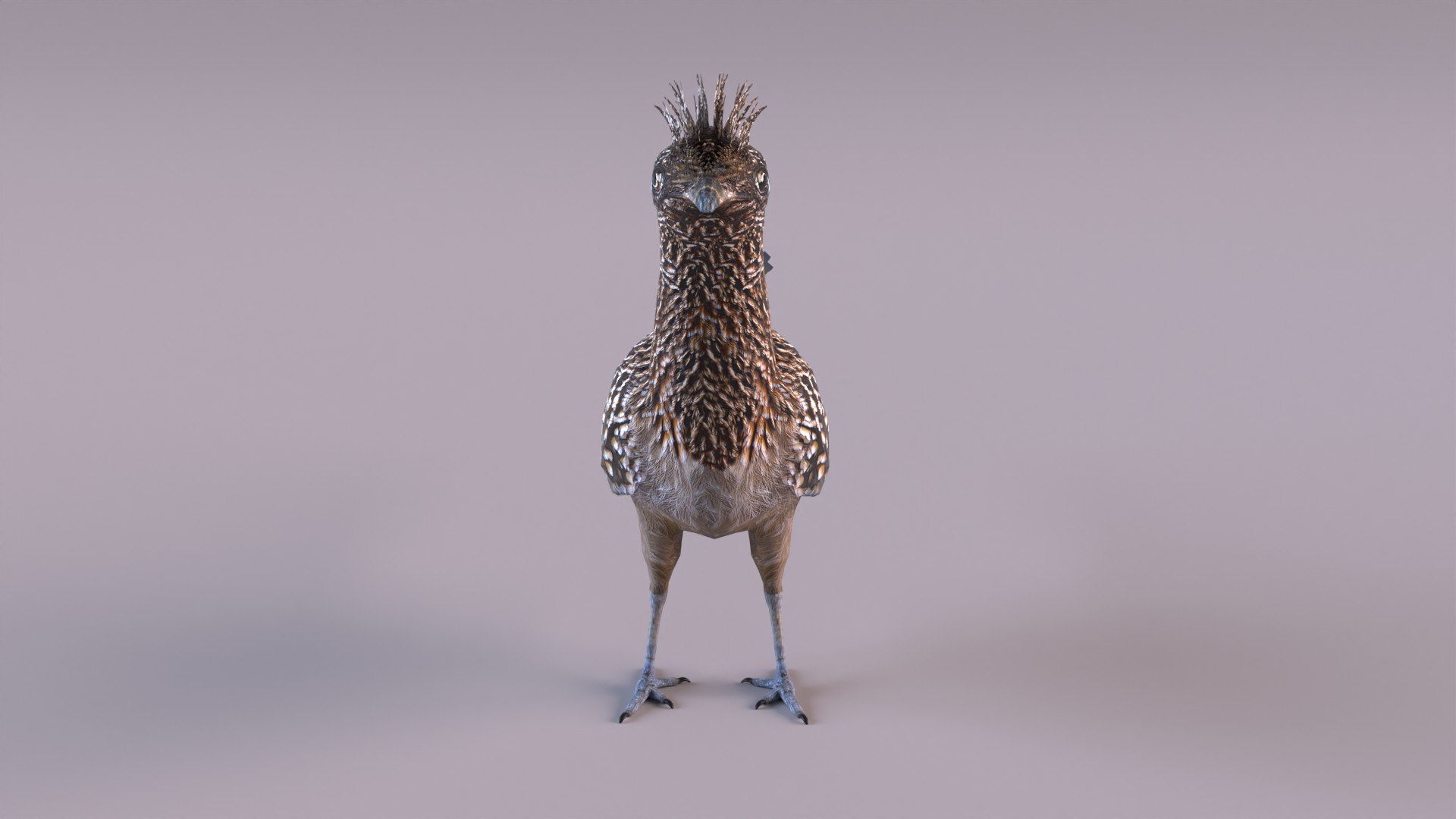 Roadrunner 3D Model - TurboSquid 2064863