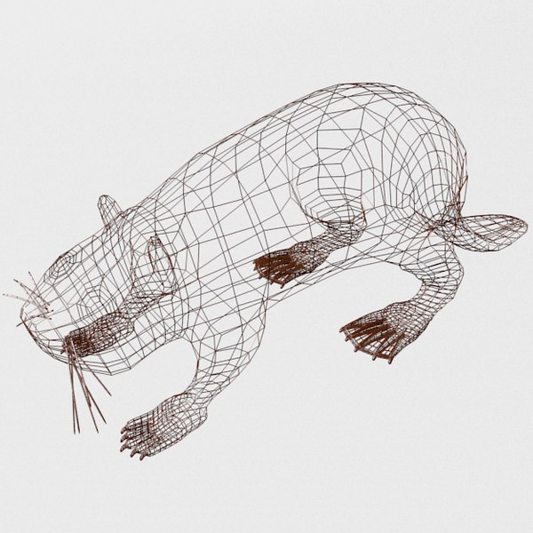 Beaver 3D - TurboSquid 1329930