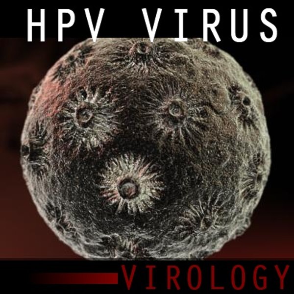 human papillomavirus virus 3d model