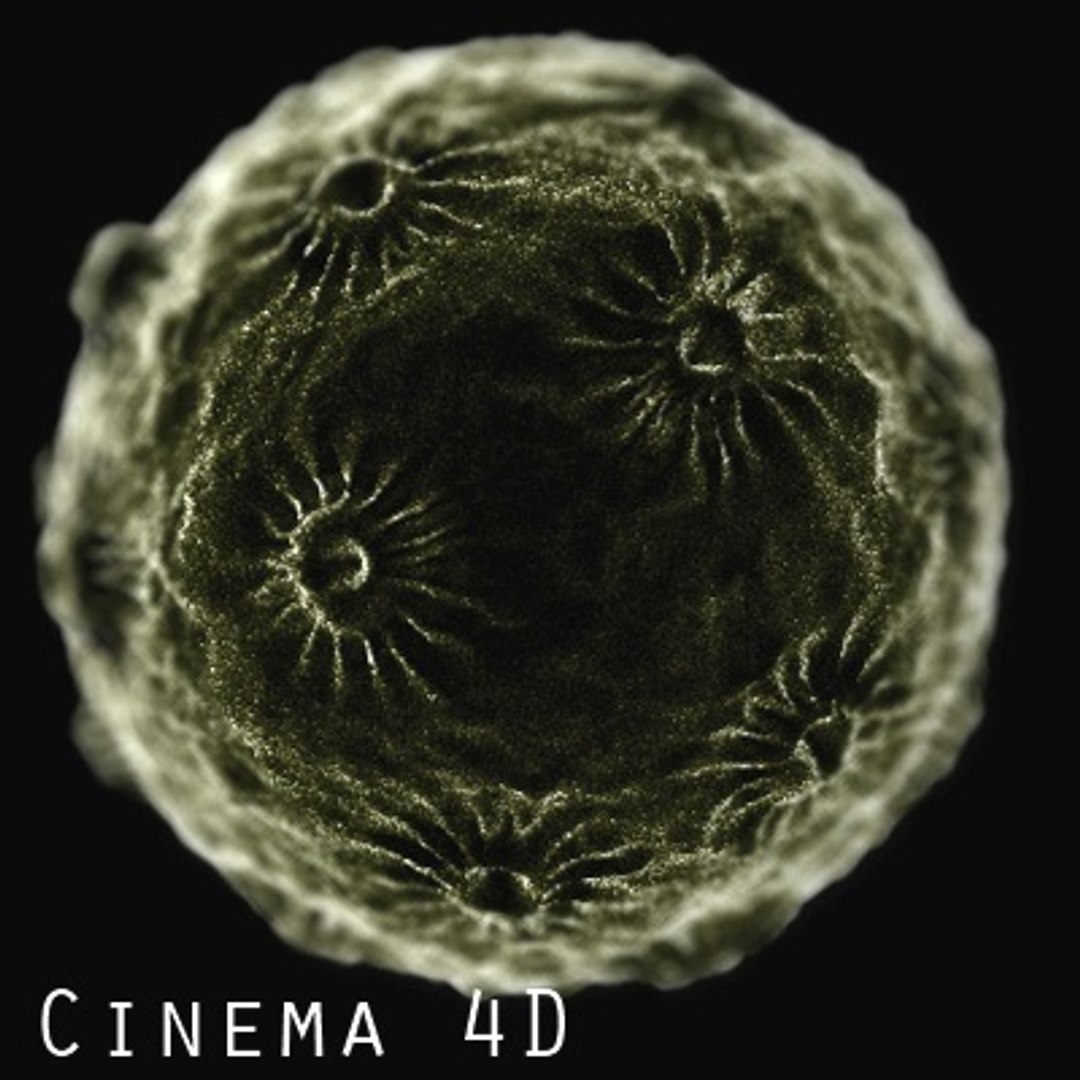 Human Papillomavirus Virus 3d Model