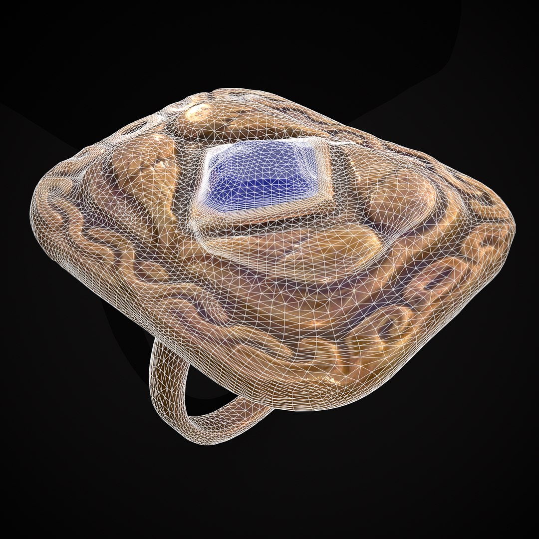 Medieval Angel Wing Ring 3D Model - TurboSquid 2034978