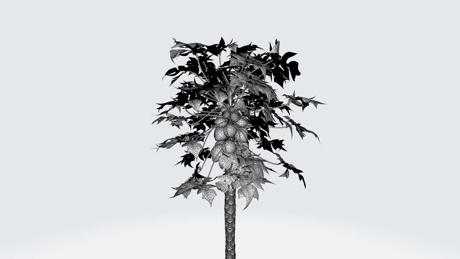 Papaya Tree 3D Model - TurboSquid 1955977