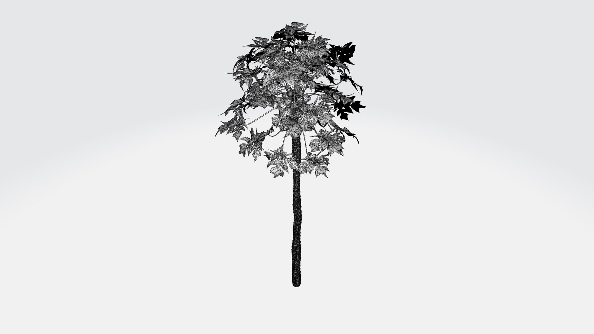 Papaya Tree 3D Model - TurboSquid 1955977