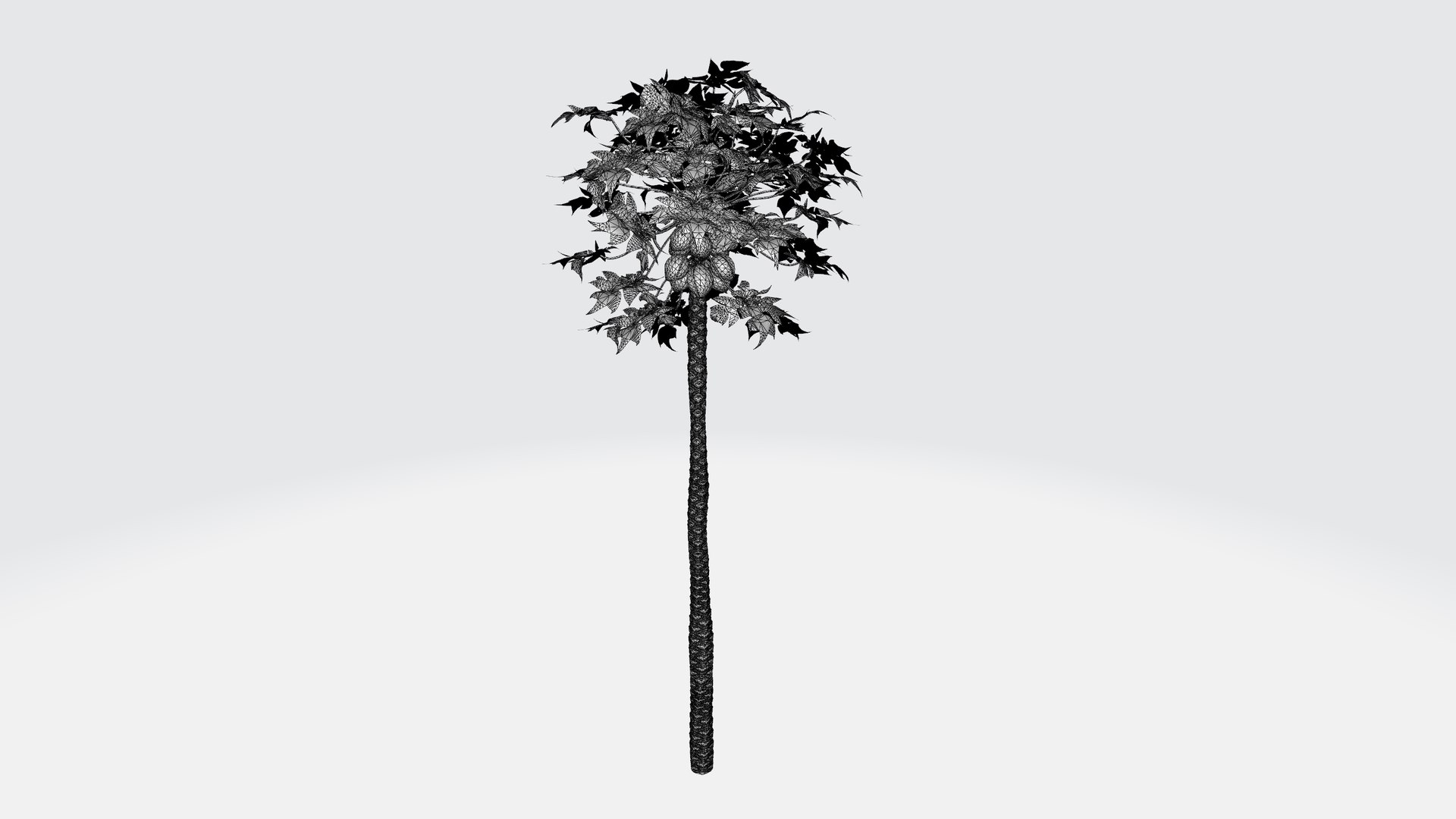 Papaya Tree 3D Model - TurboSquid 1955977