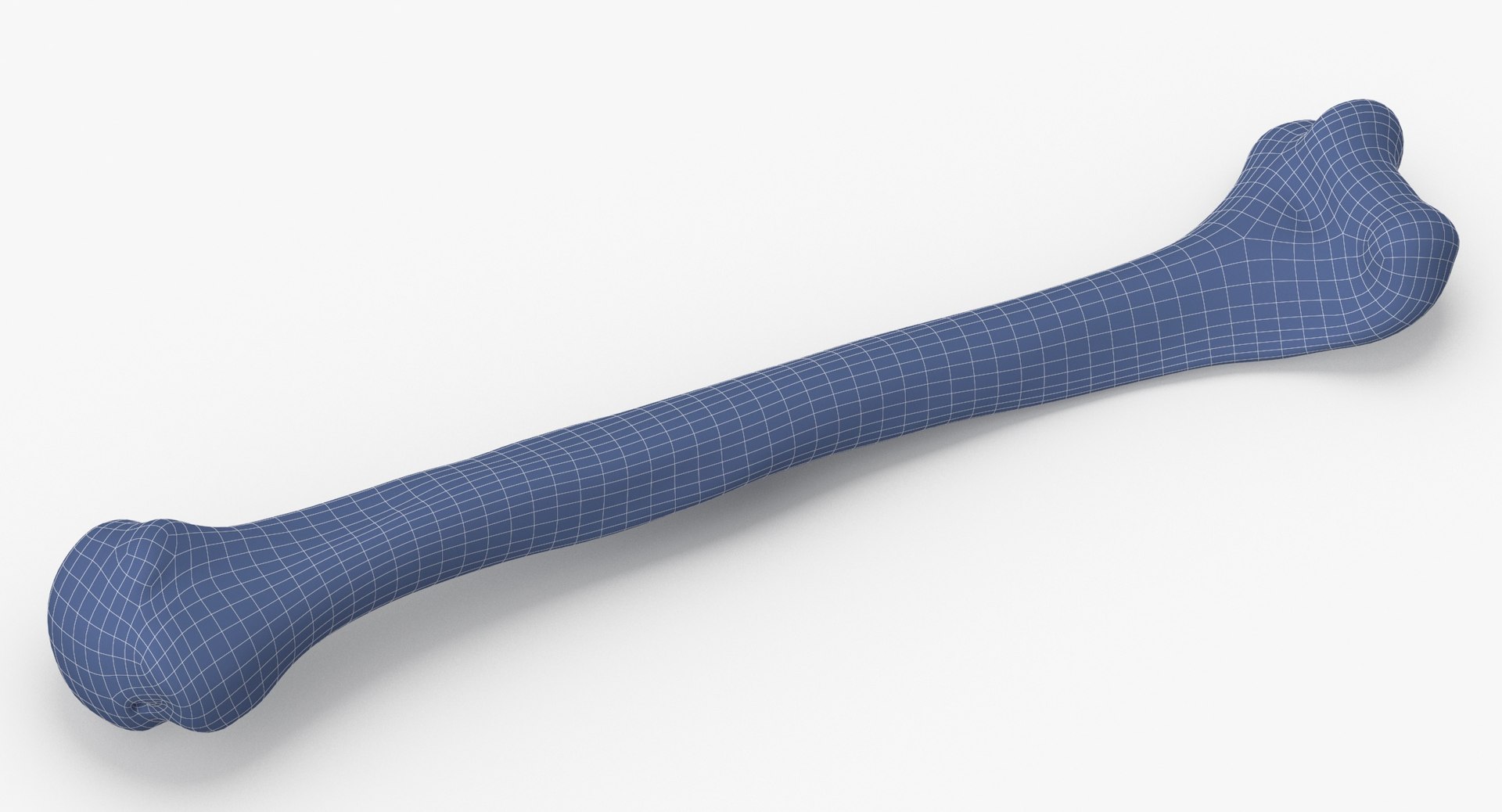 Human Humerus Bone 01 Model - TurboSquid 1539324