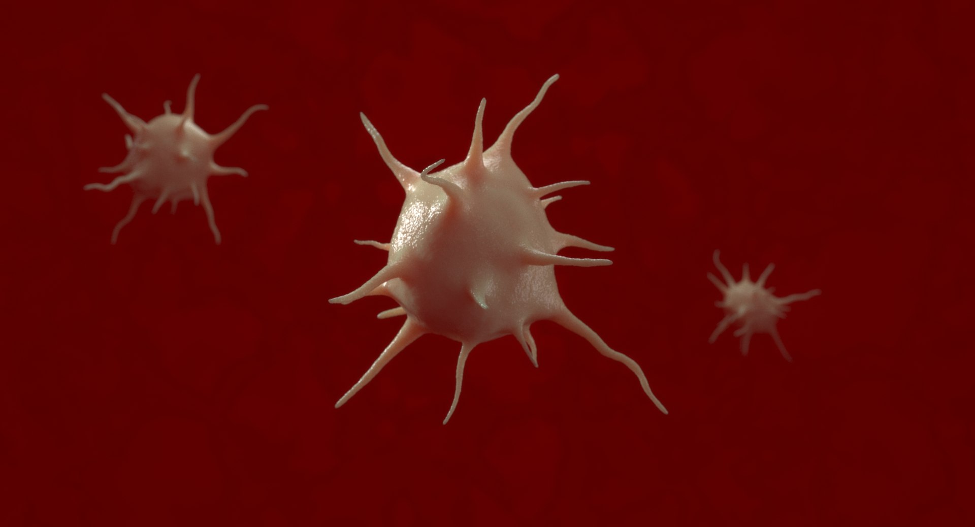 Platelet Thrombocyte 3 3D - TurboSquid 1396235