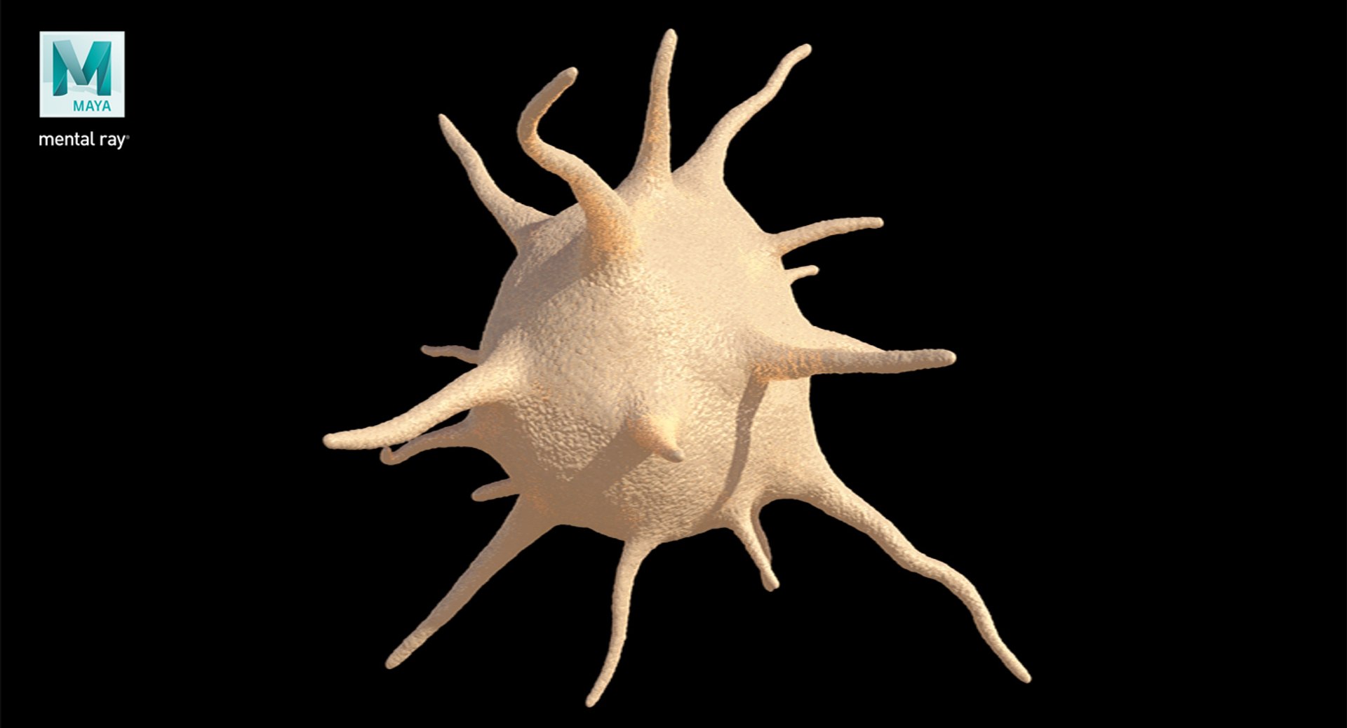 Platelet Thrombocyte 3 3D - TurboSquid 1396235