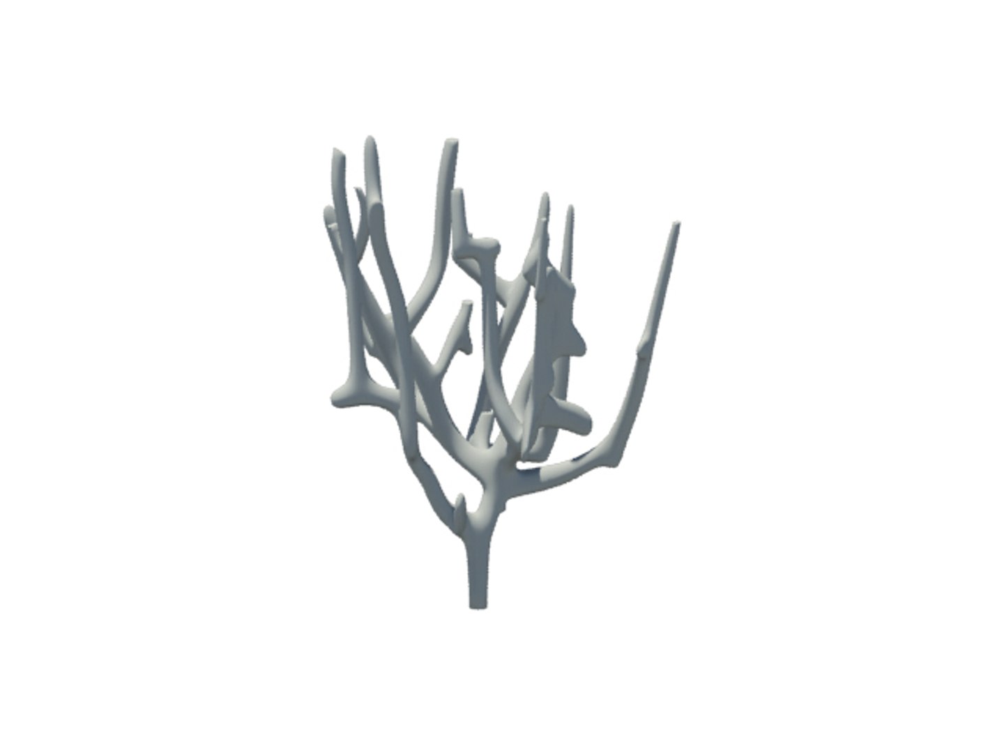 3d model coral stl
