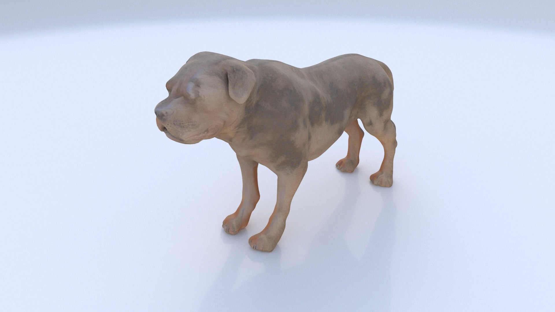 Rottweiler 3D Model - TurboSquid 2333765