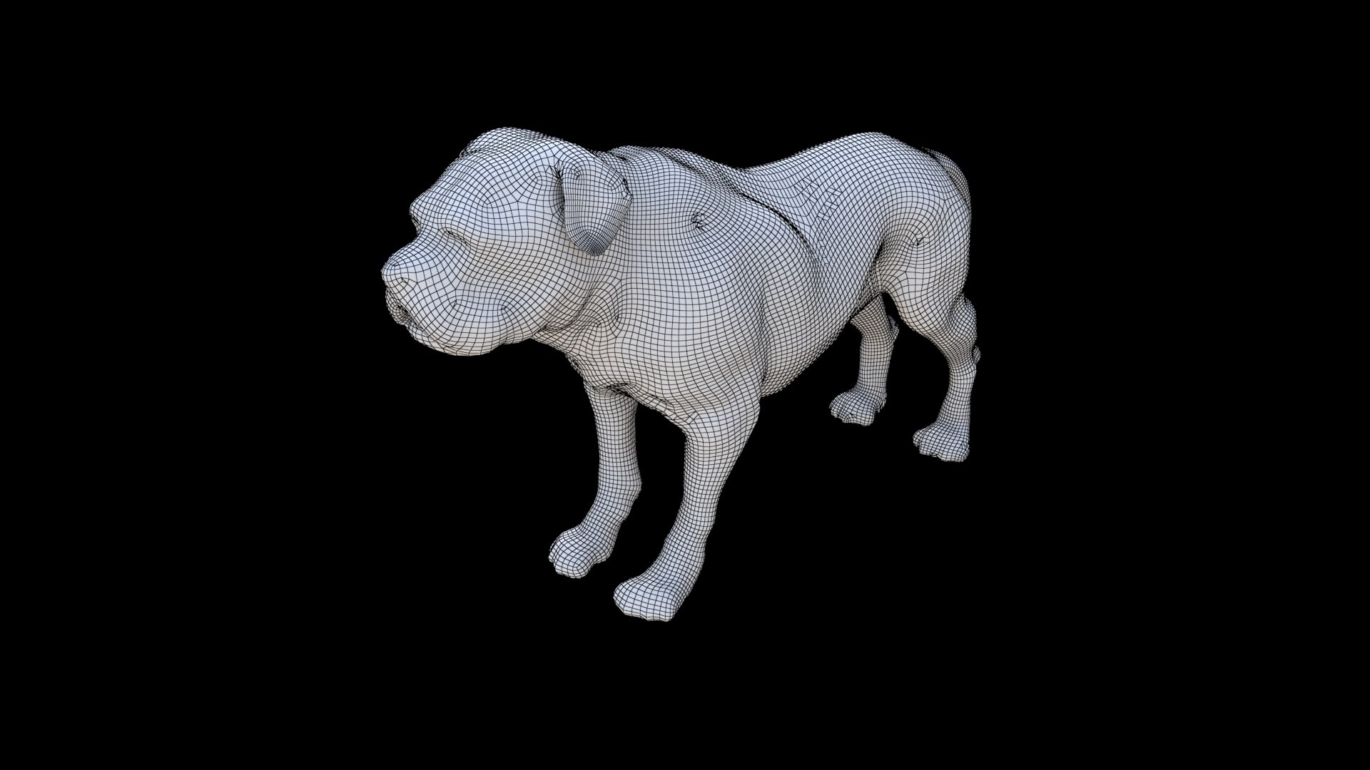 Rottweiler 3D Model - TurboSquid 2333765