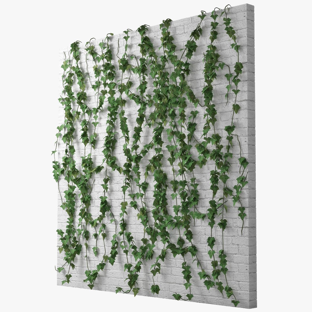 Ivy Wall 3D Model - TurboSquid 1217537