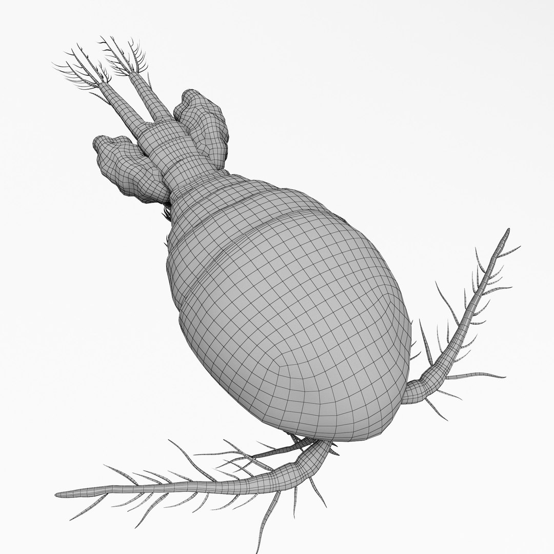 3D Cyclops - TurboSquid 2074260