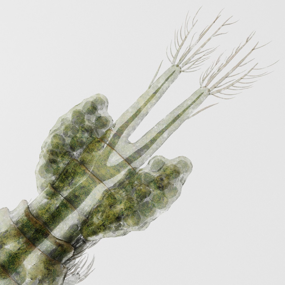 3D Cyclops - TurboSquid 2074260