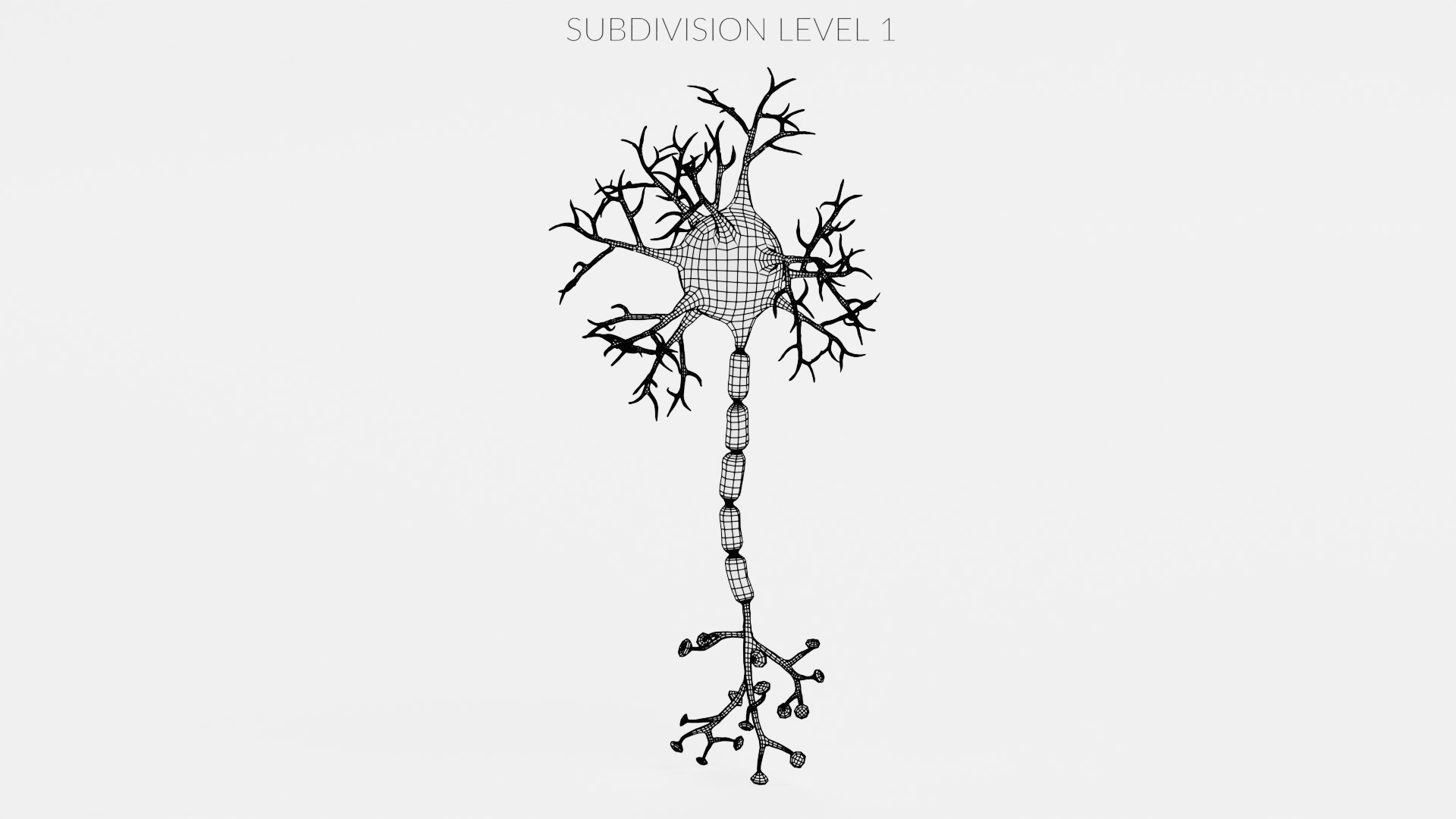 Neuron 3 3D Model - TurboSquid 1770268