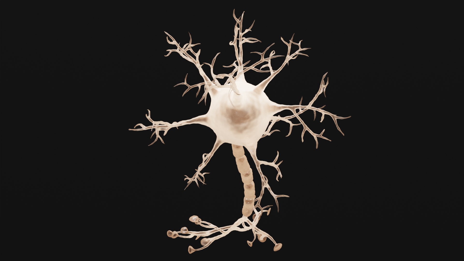 Neuron 3 3D Model - TurboSquid 1770268