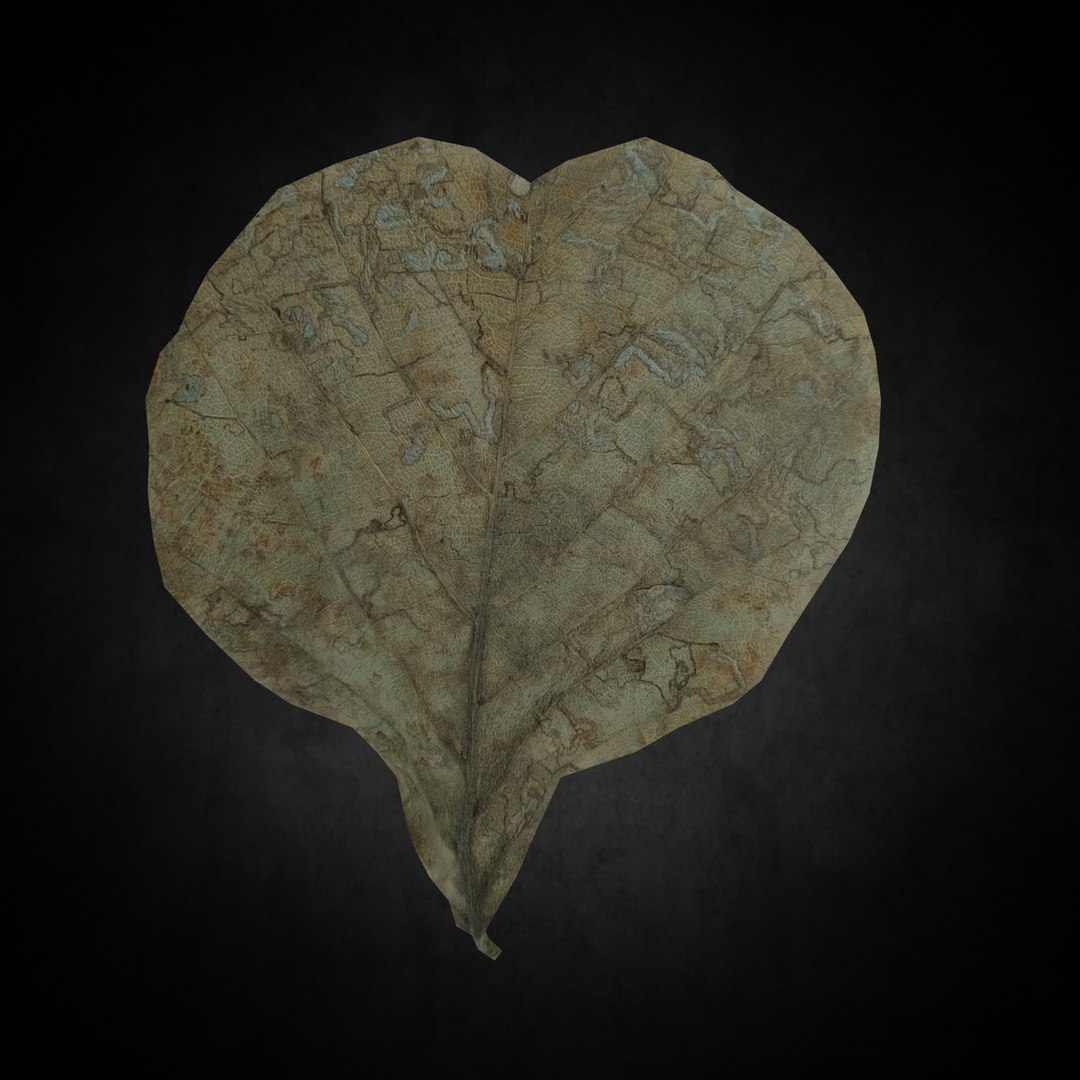 Low Poly Leaf 027 3D Model - TurboSquid 1852155