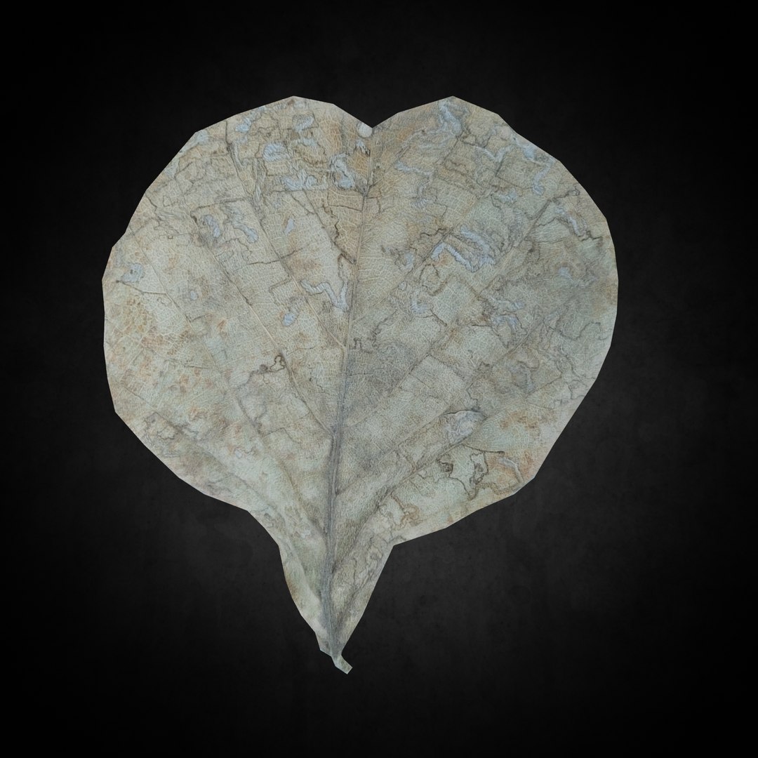 Low Poly Leaf 027 3D Model - TurboSquid 1852155